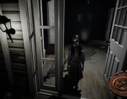 Ghosts | Project Unknowpedia | Fandom