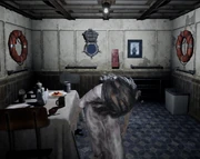 Ghosts | Project Unknowpedia | Fandom
