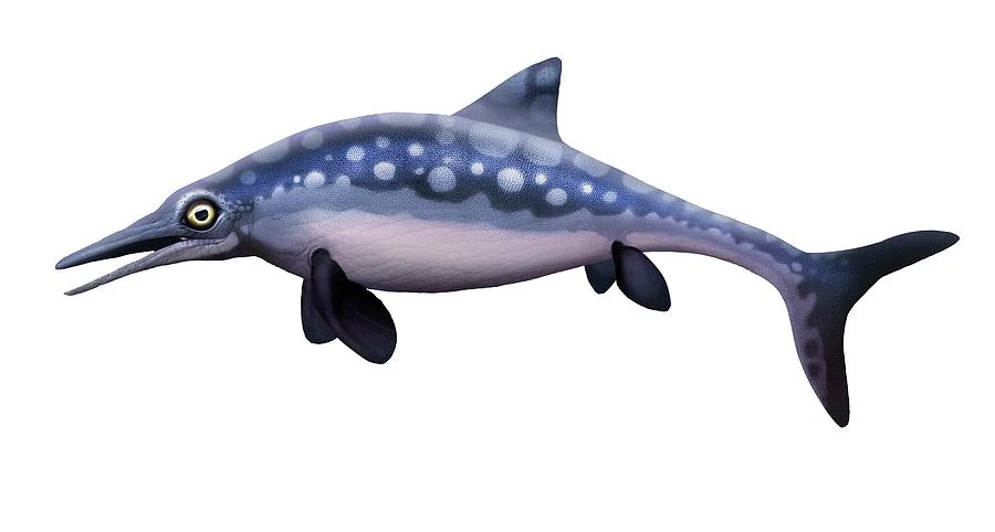 Ophthalmosaurus | Project Zoo Wiki | Fandom