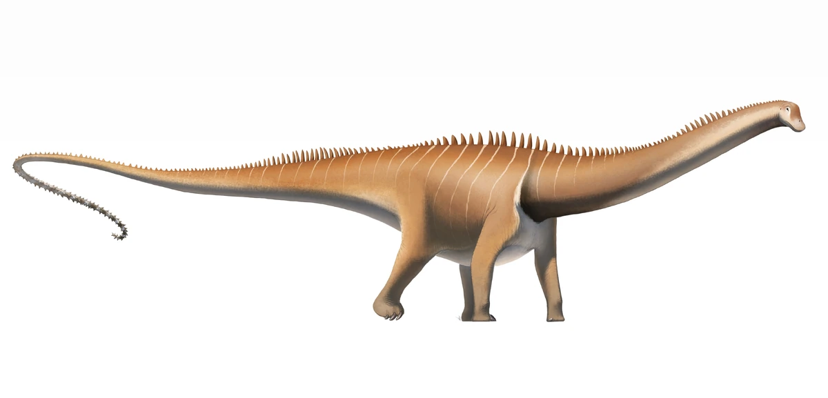 Diplodocus | Project Zoo Wiki | Fandom