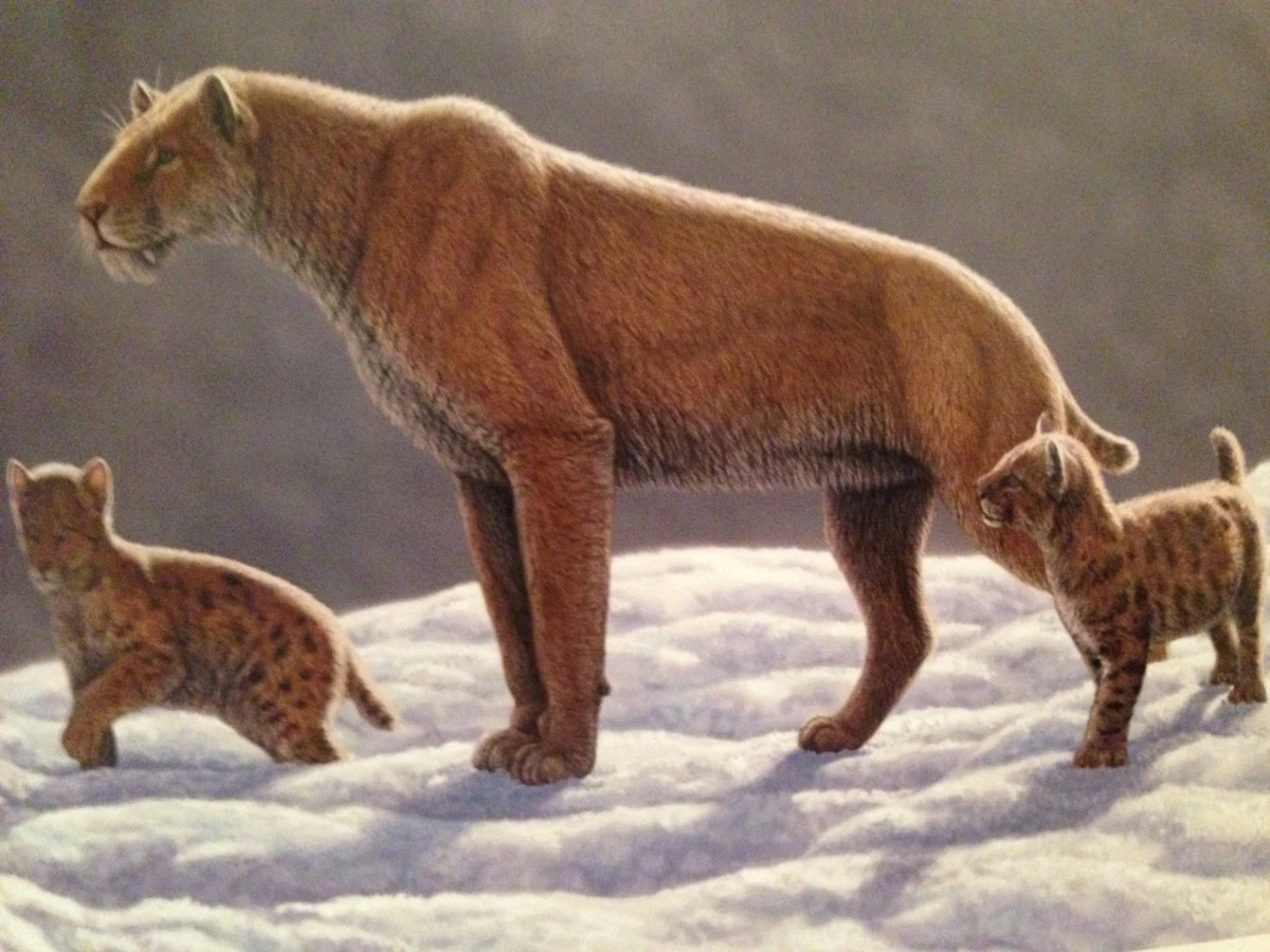 Homotherium | Project Zoo Wiki | Fandom