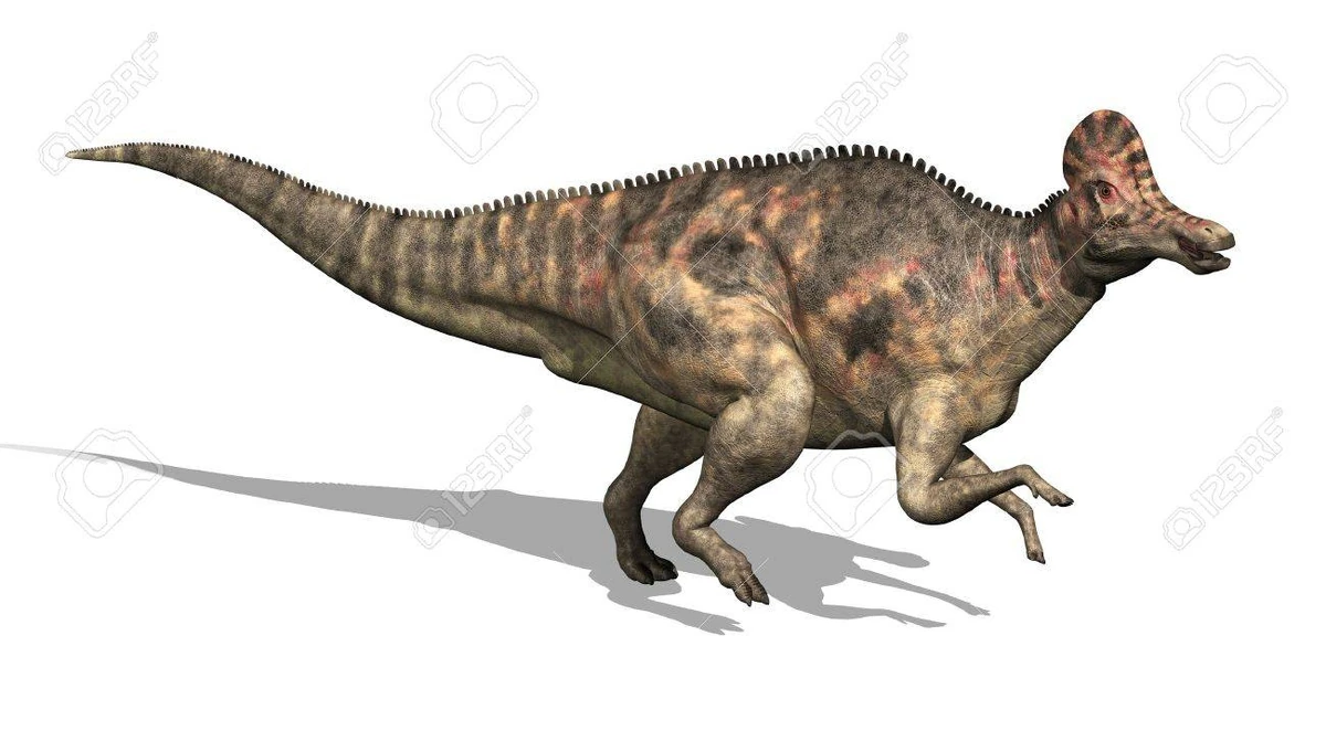 Corythosaurus | Project Zoo Wiki | Fandom