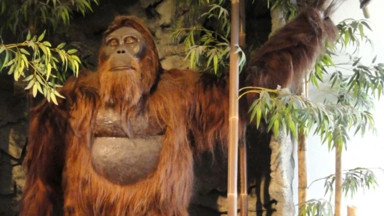 Gigantopithecus | Project Zoo Wiki | Fandom