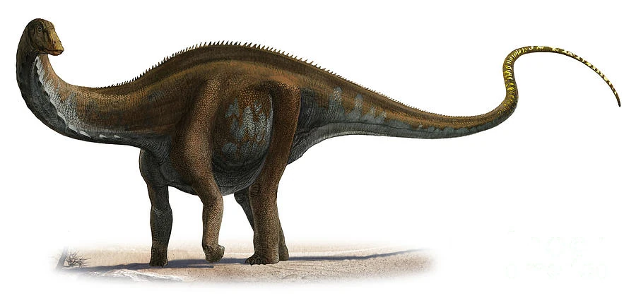 Apatosaurus | Project Zoo Wiki | Fandom