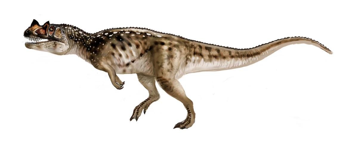 Ceratosaurus | Project Zoo Wiki | Fandom