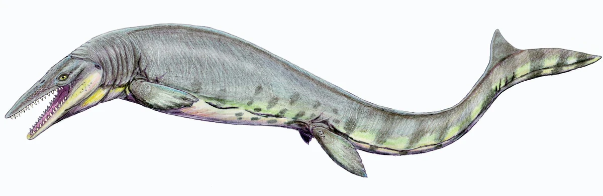 Tylosaurus | Project Zoo Wiki | Fandom