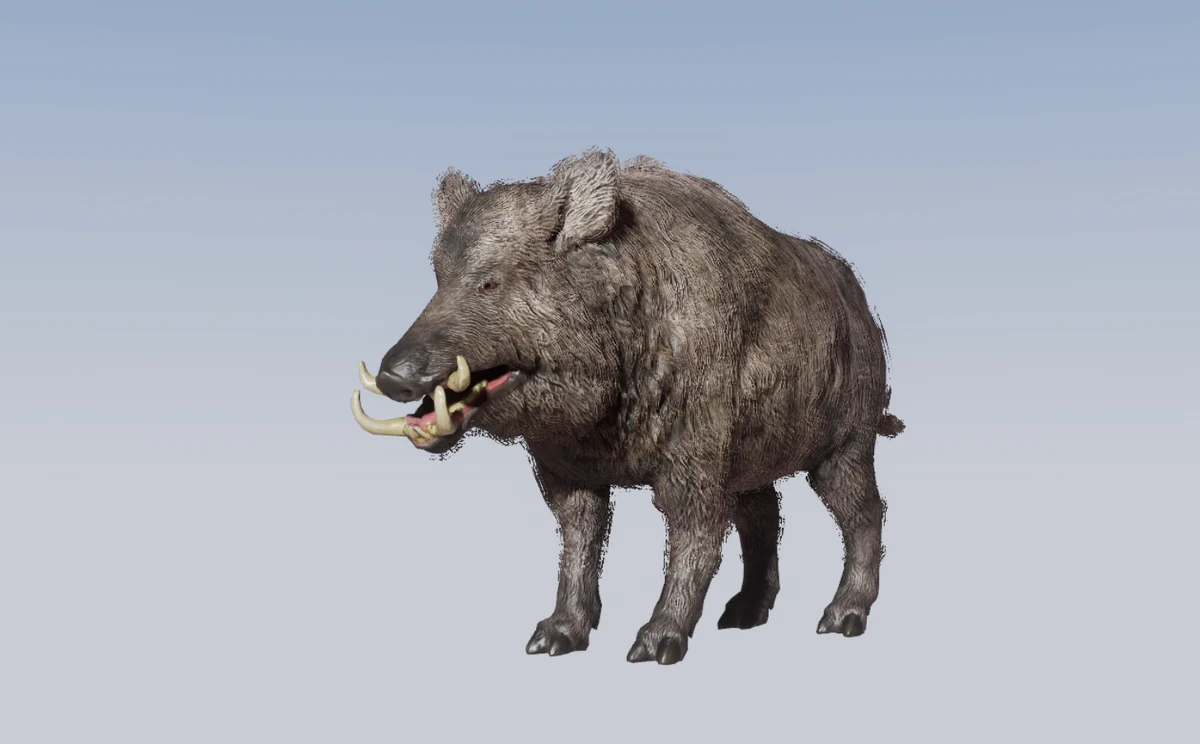 Boar | MISSION EVO WIKI | Fandom