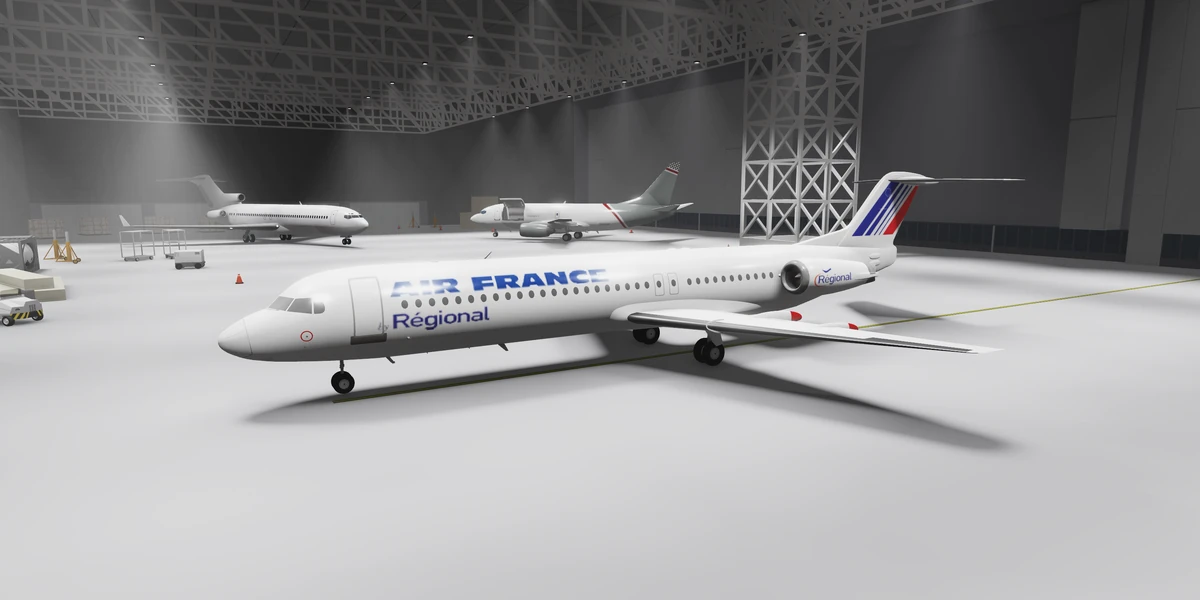 Fokker 100 | Project Flight Wiki | Fandom