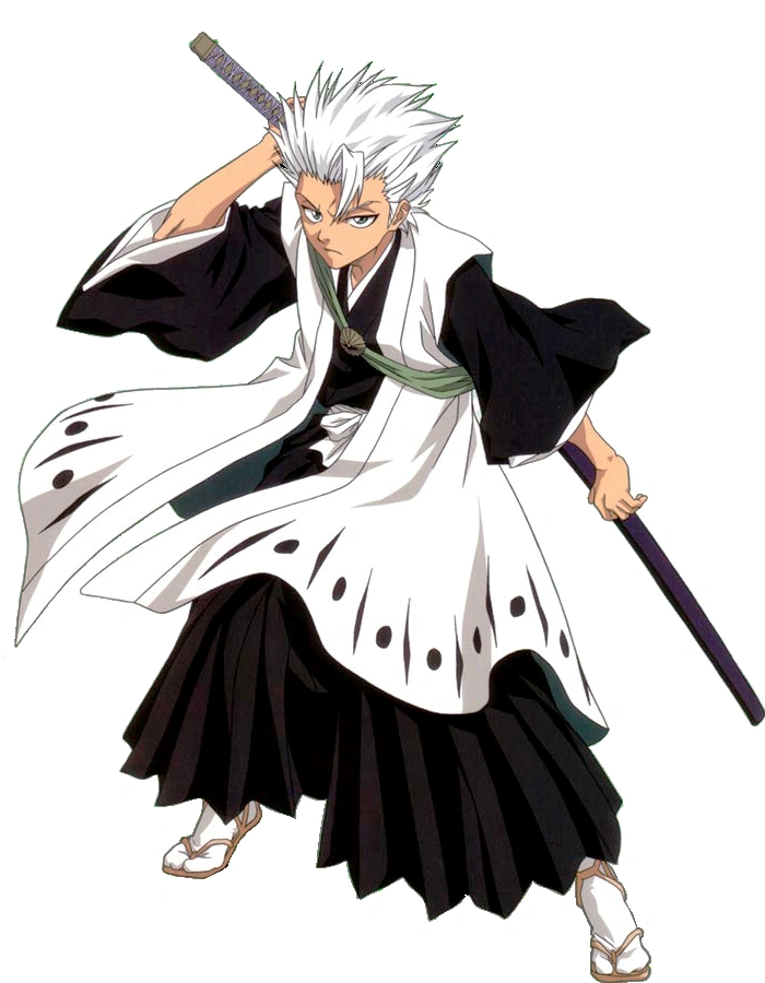 Hitsugaya | HikariFalls Wiki | Fandom