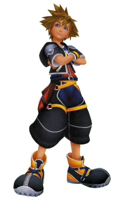 Sora | HikariFalls Wiki | Fandom