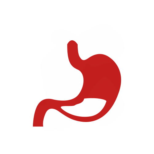 H. pylori infection | ProjectHospital Wiki | Fandom