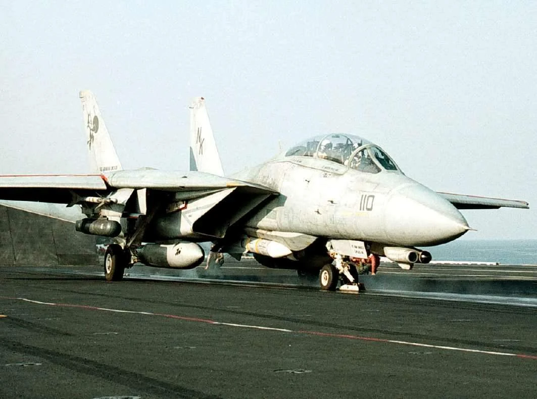 F-14D Super Tomcat | Phantoms of the South Wiki | Fandom