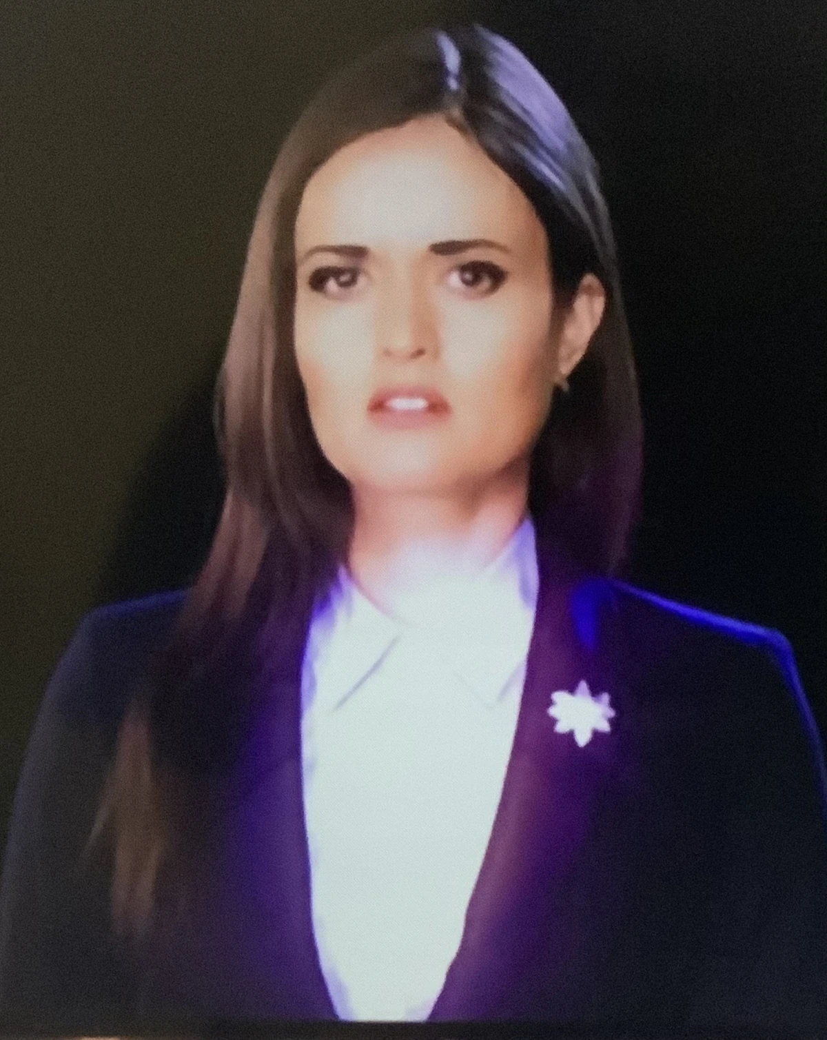 The Quail | Project mc2 Wikia | Fandom