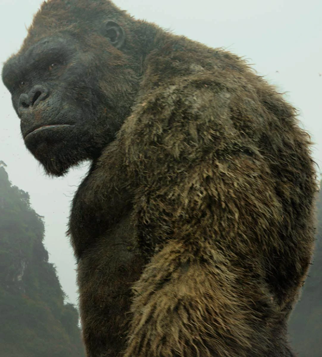 Kong | MonsterVerse Wiki | Fandom