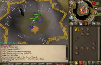 Dungeoneering | Project-RIFT Wiki | Fandom