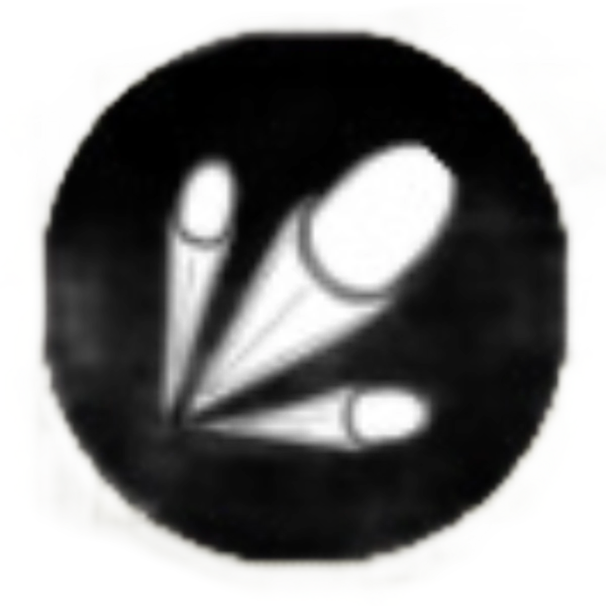 Assault | Project Untote Wiki | Fandom