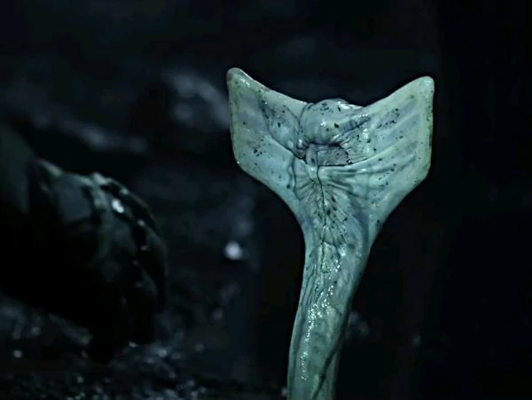 Hammerpede | Prometheus Wiki | Fandom