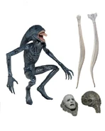 Deacon | Prometheus Wiki | Fandom