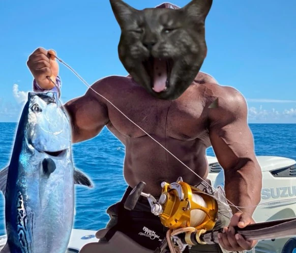 Awesome Cat | Property Of Steve Wiki | Fandom