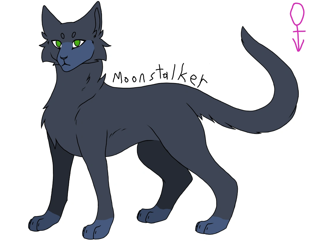 Moonstalker | Prophecy of 3 Wiki | Fandom