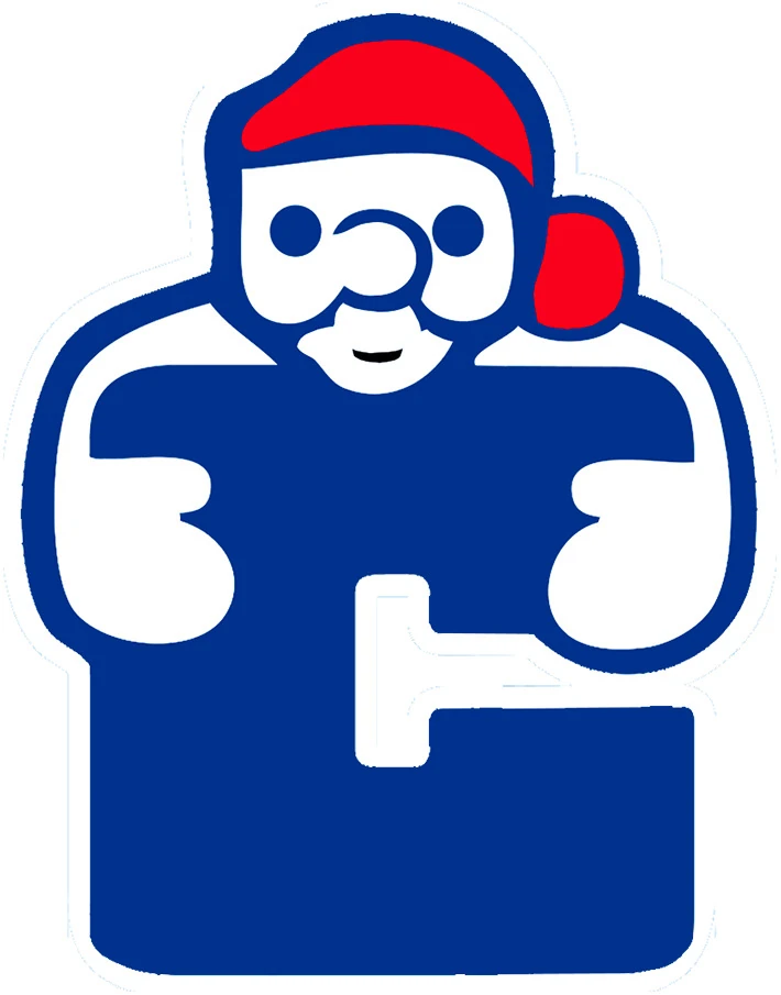 Quebec Carnavals | Pro Sports Teams Wiki | Fandom