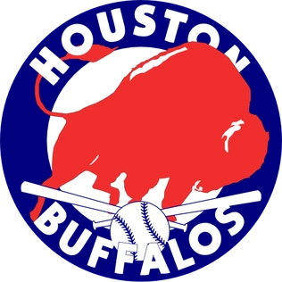 Houston Buffaloes | Pro Sports Teams Wiki | Fandom