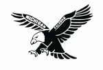 Michigan Falcons | Pro Sports Teams Wiki | Fandom
