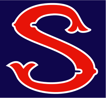 Seattle Rainiers | Pro Sports Teams Wiki | Fandom