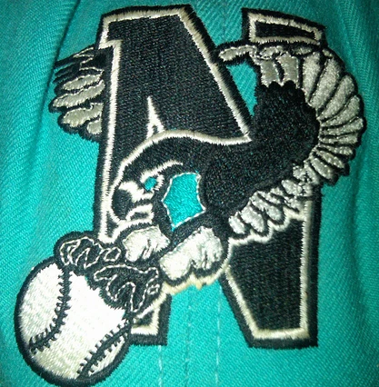 Newburgh Nighthawks | Pro Sports Teams Wiki | Fandom