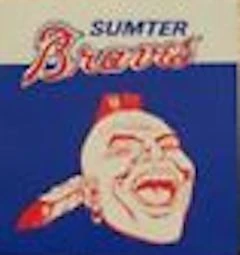 Sumter Braves | Pro Sports Teams Wiki | Fandom