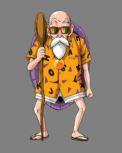 Master Roshi | Protagonists Wiki | Fandom