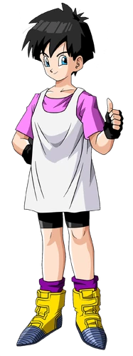 Videl | Protagonists Wiki | Fandom