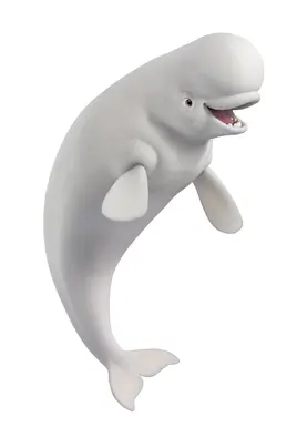 Bailey (Finding Dory) | Protagonists Wiki | Fandom