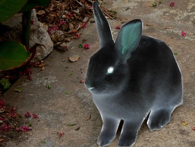 The Evil Bunny | Protector of a Light Wiki | Fandom