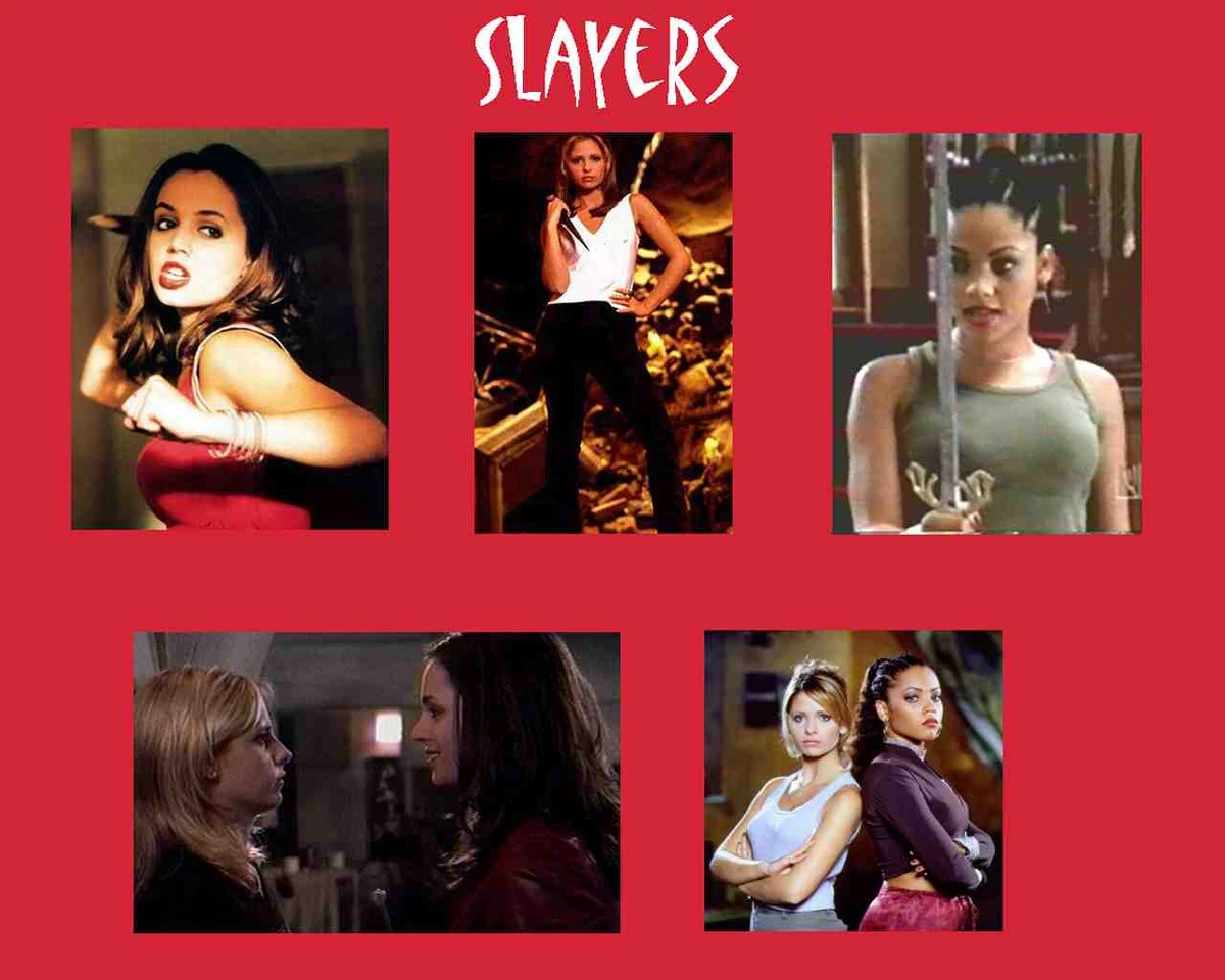 Vampire Slayer | Protector of a Light Wiki | Fandom