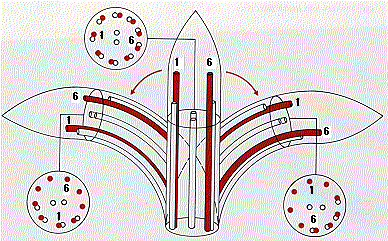 Cilia | Protist Wiki | Fandom
