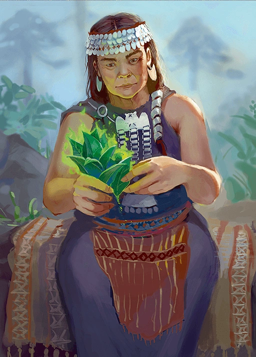 Machi | Wiki Project Protogenoi | Fandom