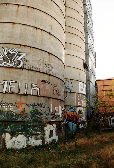 Mafa | Protopia Wiki | Fandom