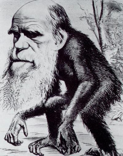 Evolutionary psychology | Protoscience | Fandom