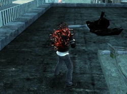 Prototype 2 Shield