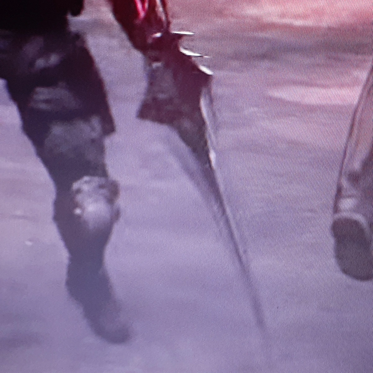 Blade Sub-Variant: Thin Blade | Prototype Wiki | Fandom