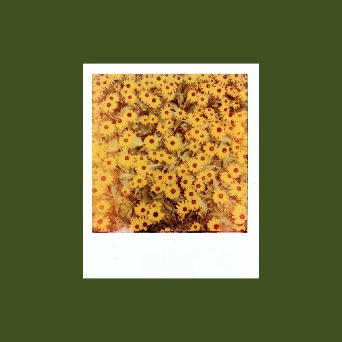 Passivity Delusion | ProwCinnBlock Wiki | Fandom