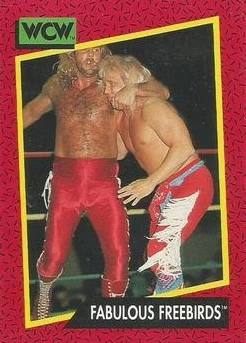 1991 WCW (Impel) Fabulous Freebirds (No.121) | Pro Wrestling | Fandom