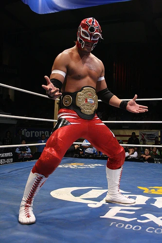 BUSHI/Image gallery | Pro Wrestling | Fandom