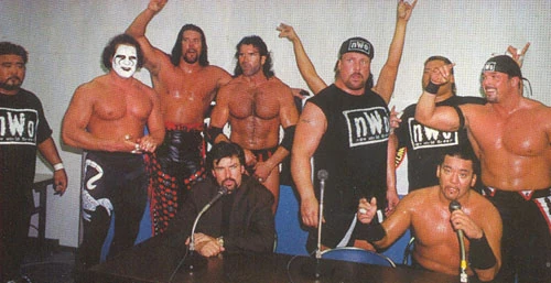 Wwe Sting Nwo