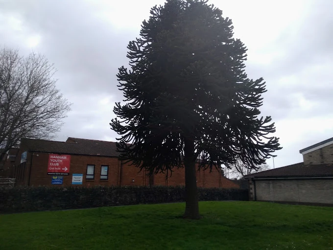 Hanham Community Centre | Pro Wrestling | Fandom