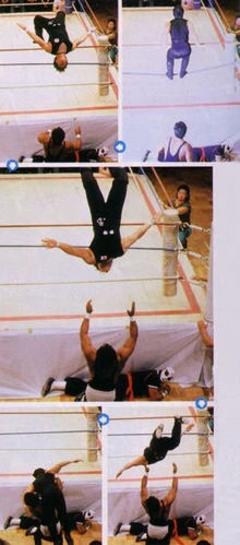 Asai Moonsault | Pro Wrestling | Fandom