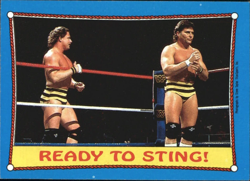 1987 WWF Wrestling Cards (Topps) Ready to Sting! (No.62) | Pro ...