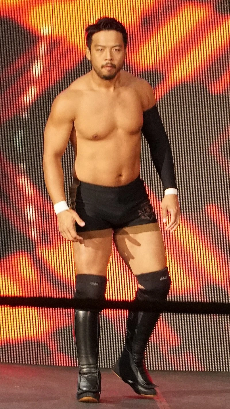 Kenta Kobayashi | Pro Wrestling Wiki | Fandom