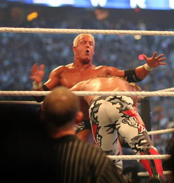 Spear | Pro Wrestling | Fandom